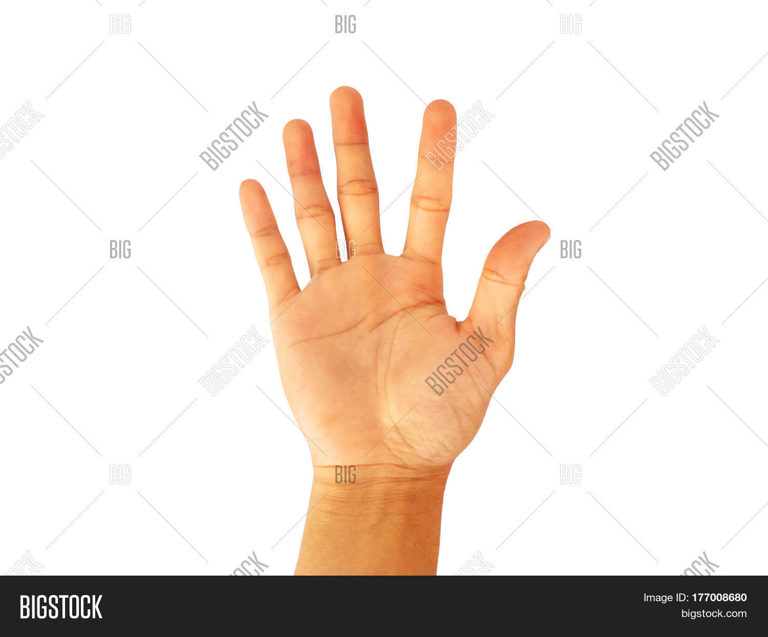 Asian Man Show Hand Image & Photo (Free Trial) | Bigstock