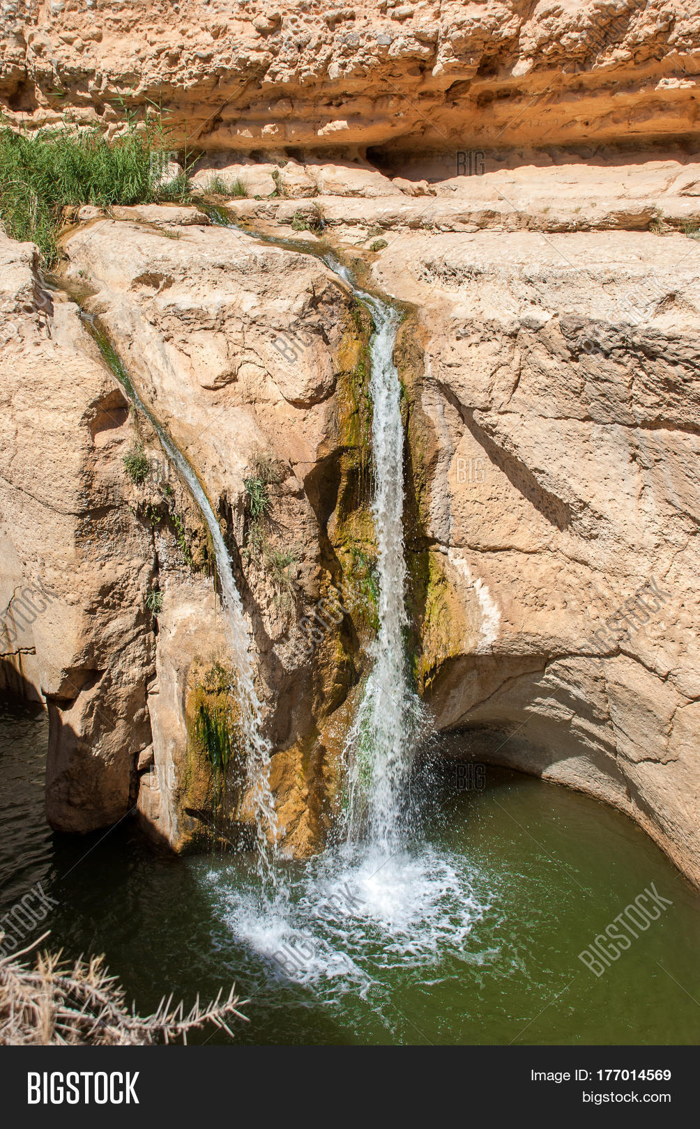 Waterfall Oasis Sahara Image & Photo (Free Trial) | Bigstock