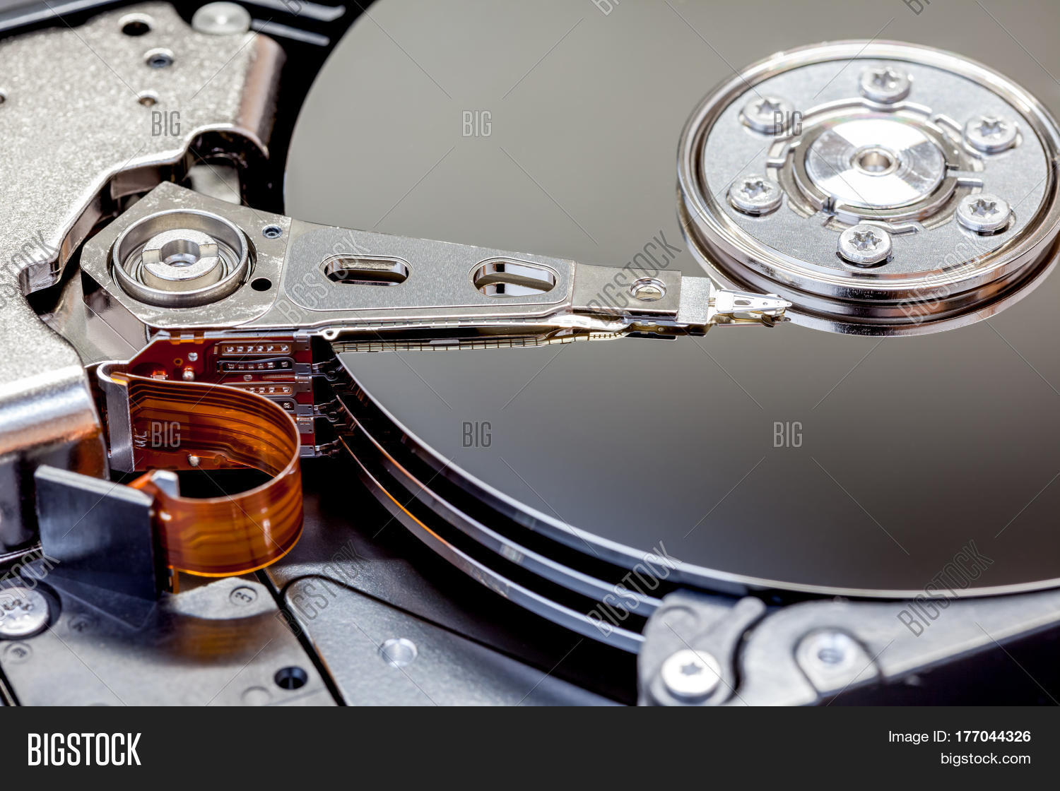 Read Arm Hard Disk Image & Photo (Free Trial) | Bigstock