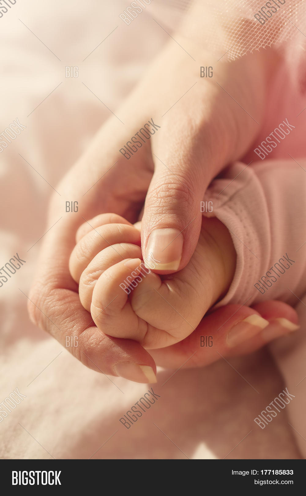 Little Cute Baby Hands Image & Photo (Free Trial) | Bigstock