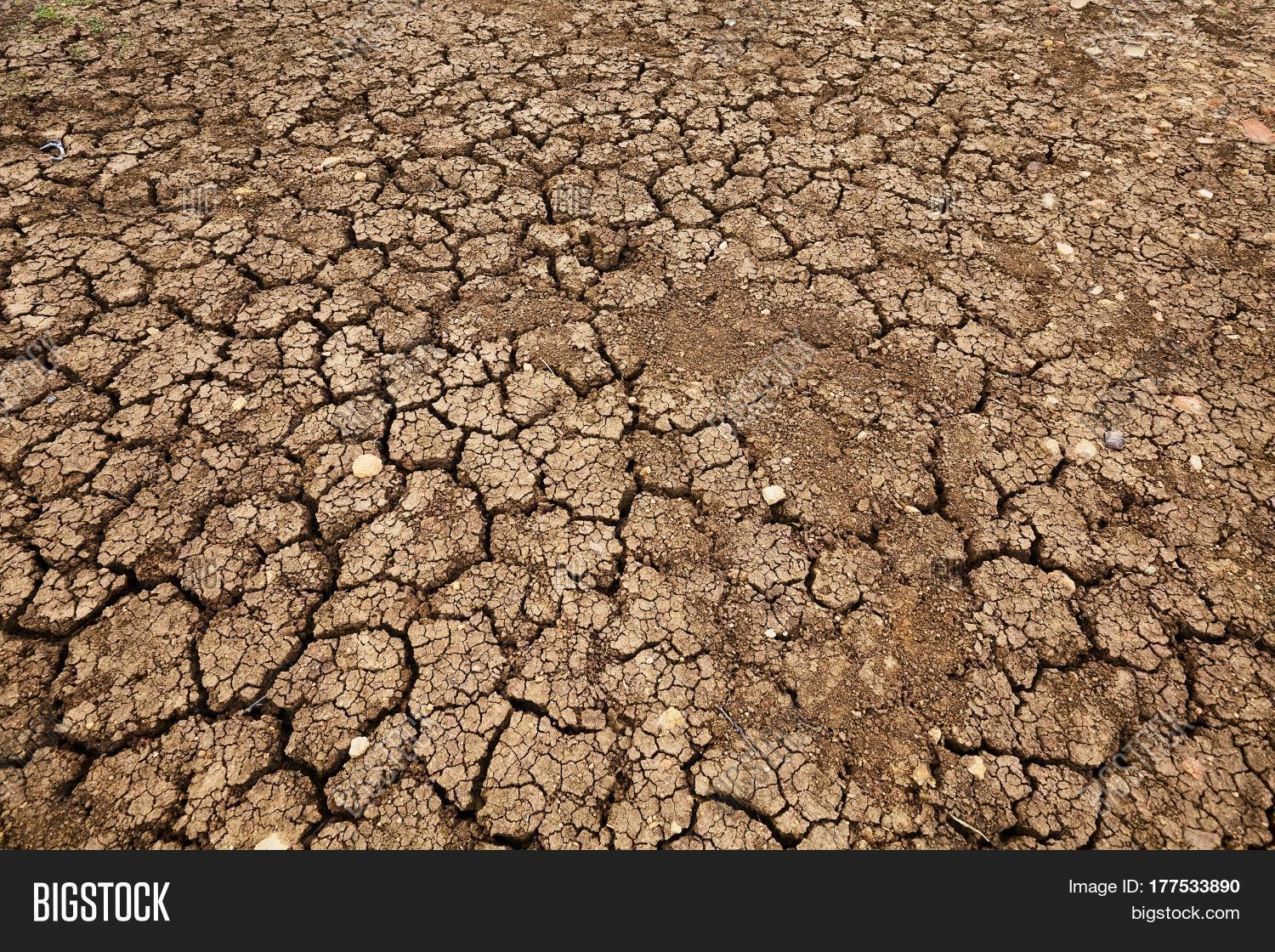 Dried Out Soil Texture Image & Photo (Free Trial) | Bigstock