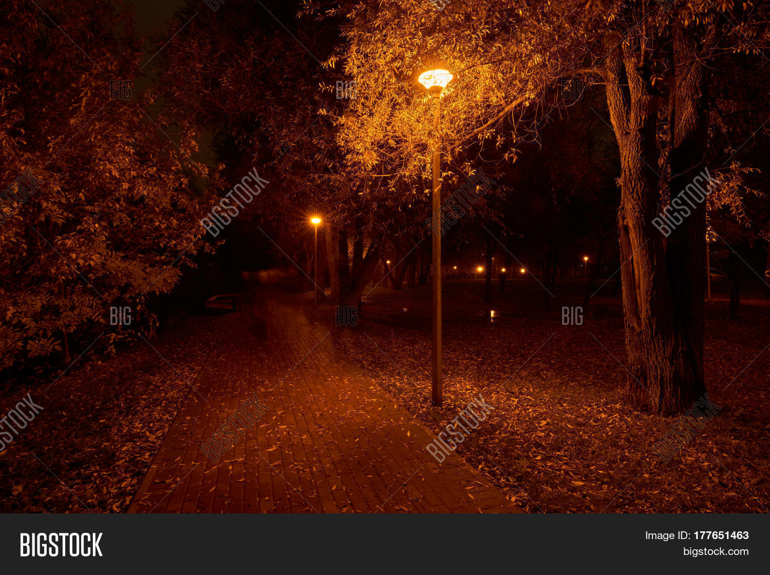 Night Park Street Image & Photo (Free Trial) | Bigstock