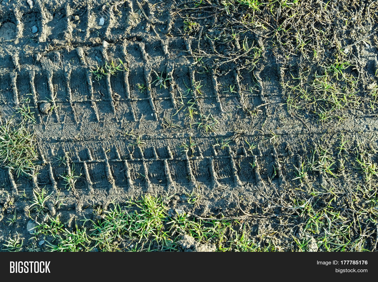Closeup Tire Track Image & Photo (Free Trial) | Bigstock