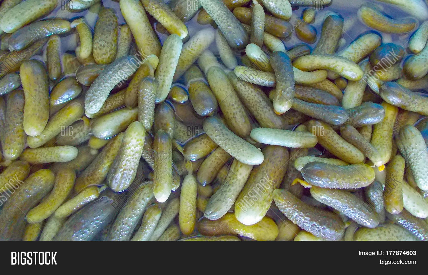 Pickles Background Image & Photo (Free Trial) | Bigstock