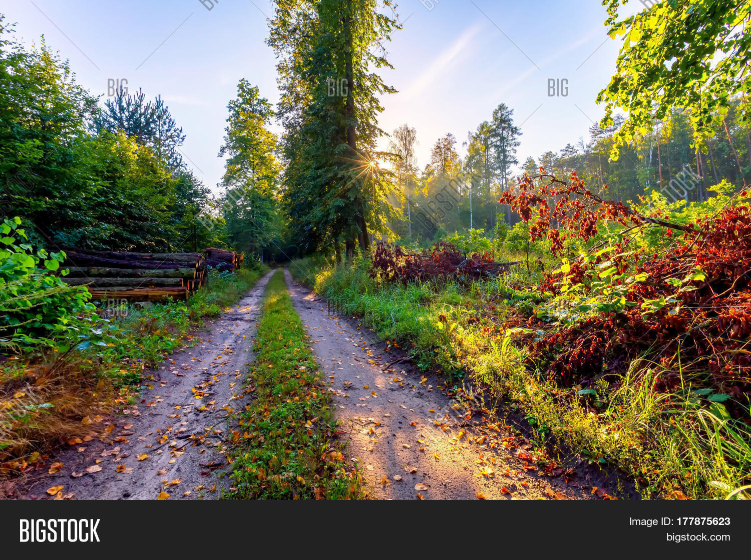 Beautiful Early Autumn Image & Photo (Free Trial) | Bigstock