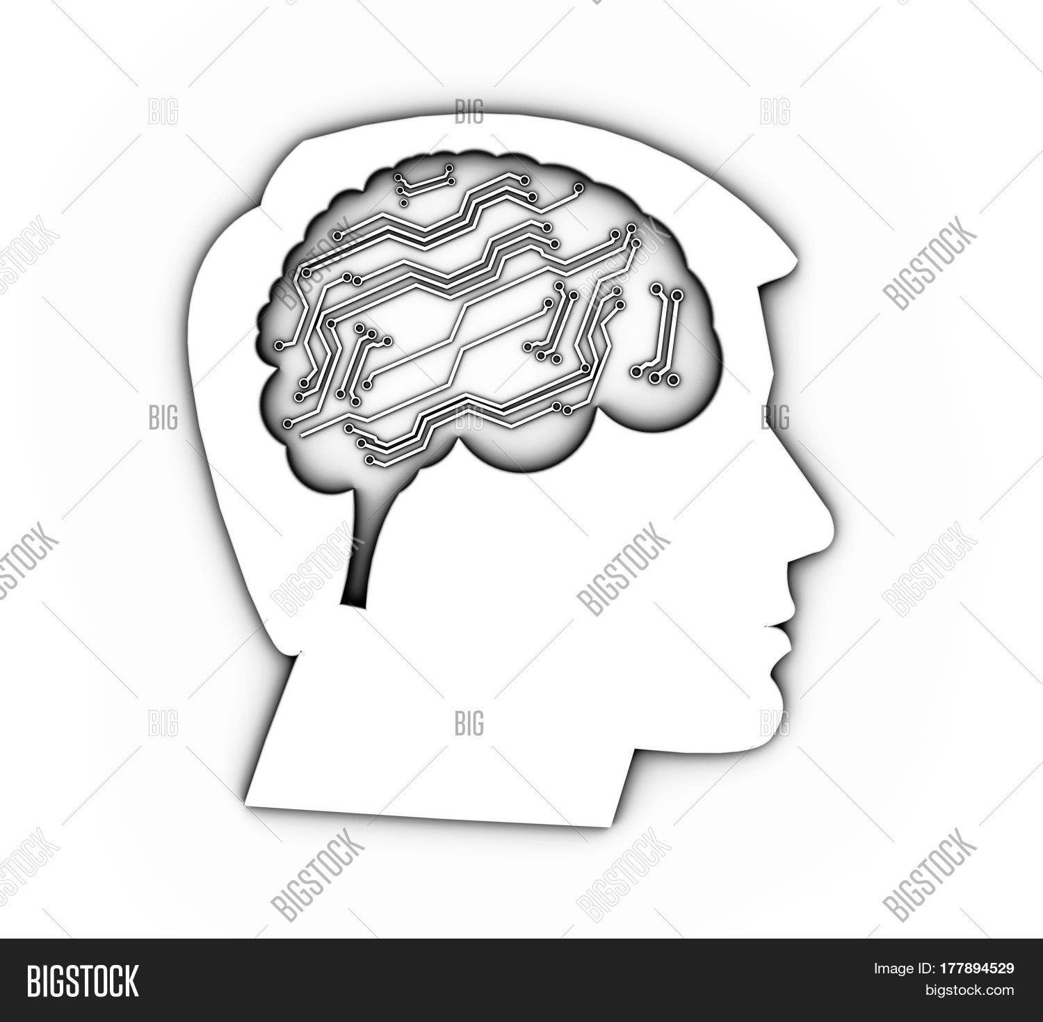 Profile Human Head Image & Photo (Free Trial) | Bigstock