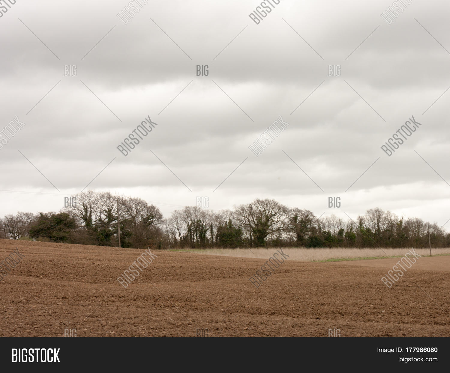 Some Farmland Earth Image & Photo (Free Trial) | Bigstock