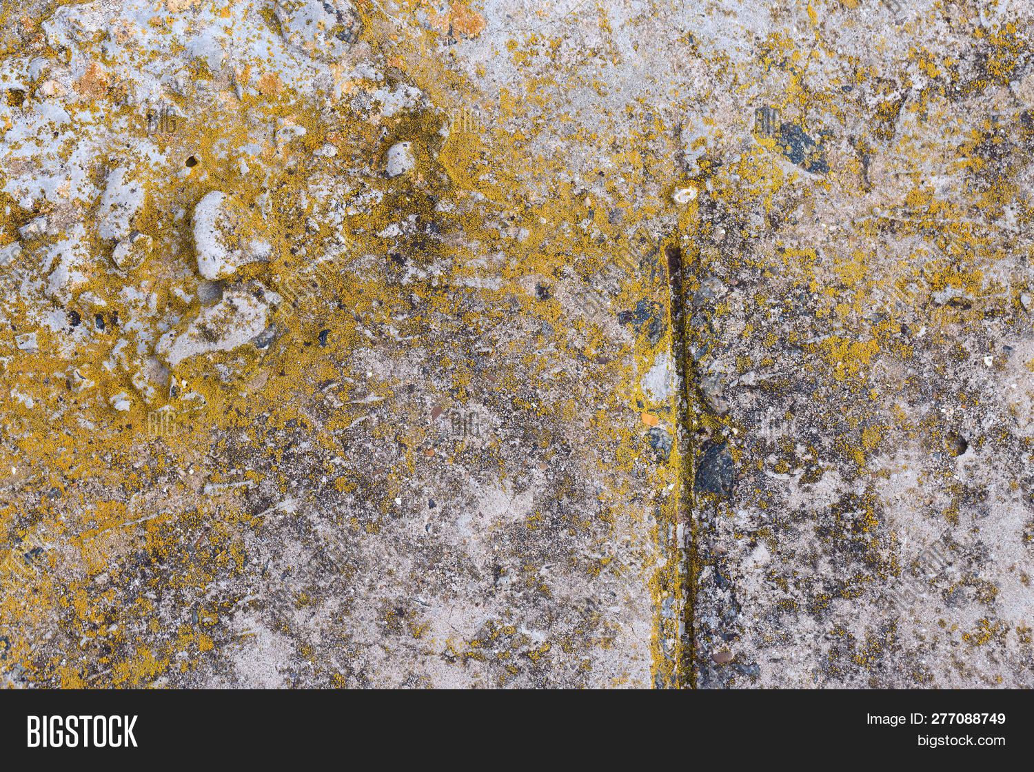 Asbestos Slate Texture Image & Photo (Free Trial) | Bigstock