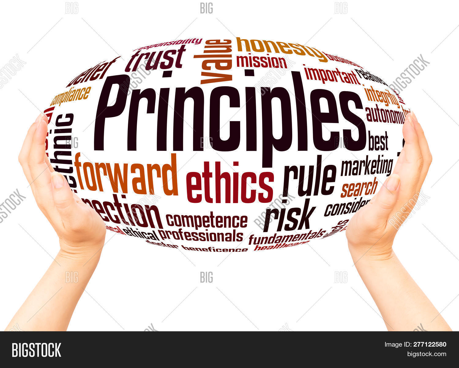 Principles Word Cloud Image & Photo (Free Trial) | Bigstock