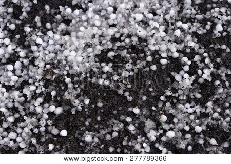 Hail Grains On Dark Image & Photo (Free Trial) | Bigstock