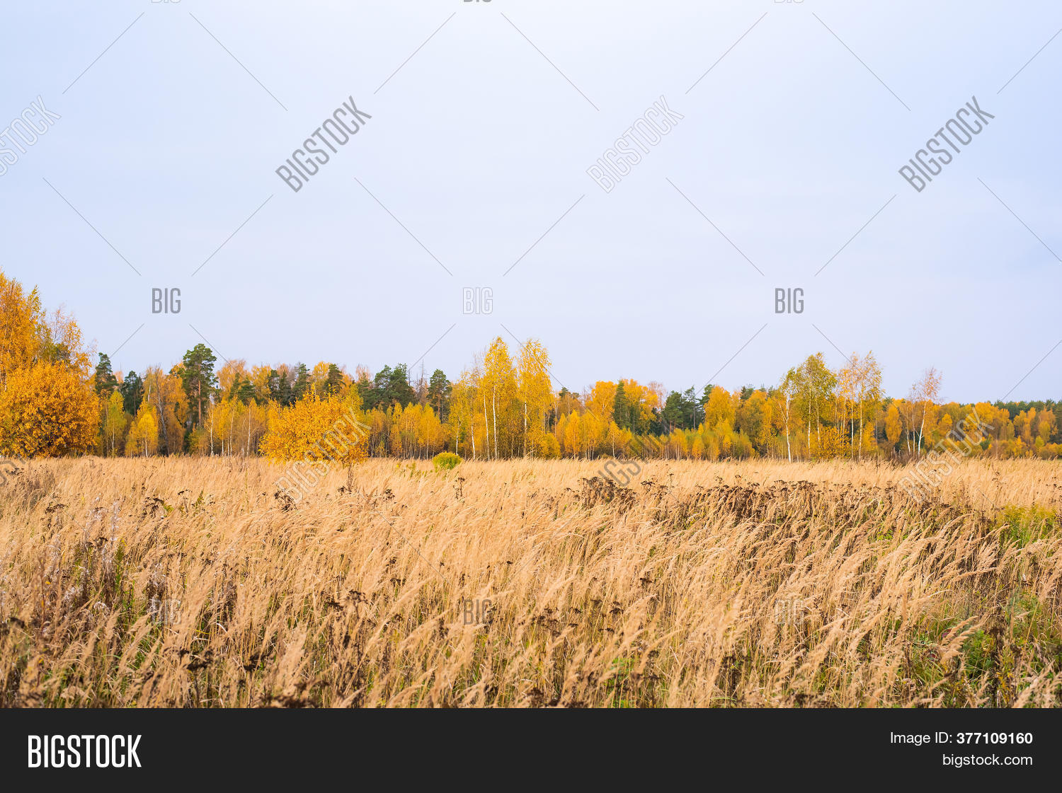 Prairie Landscape Image & Photo (Free Trial) | Bigstock