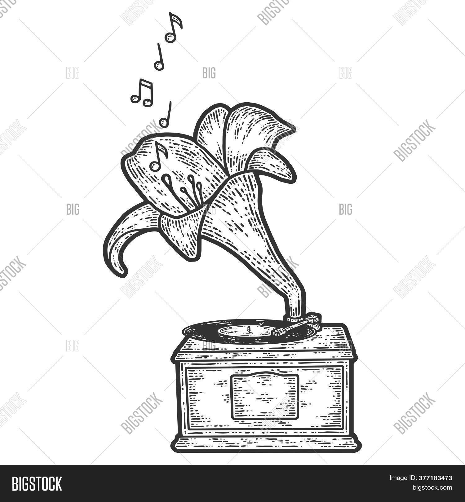 Phonograph Flowers Image & Photo (Free Trial) | Bigstock