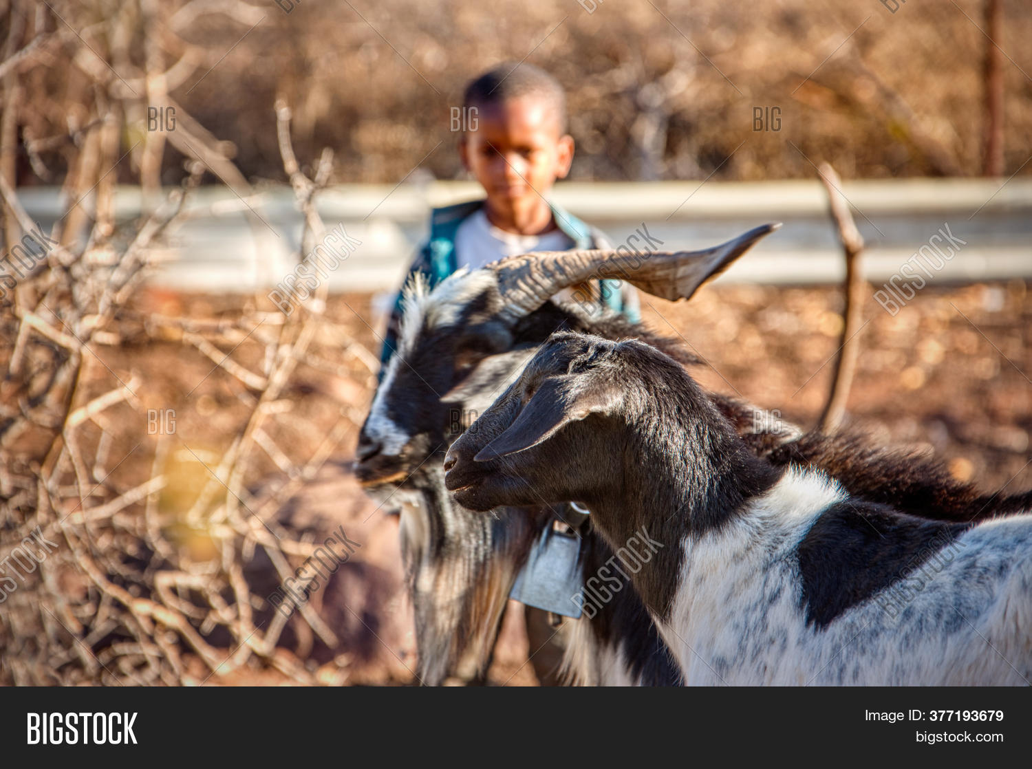 African Boy Heard Image & Photo (Free Trial) | Bigstock