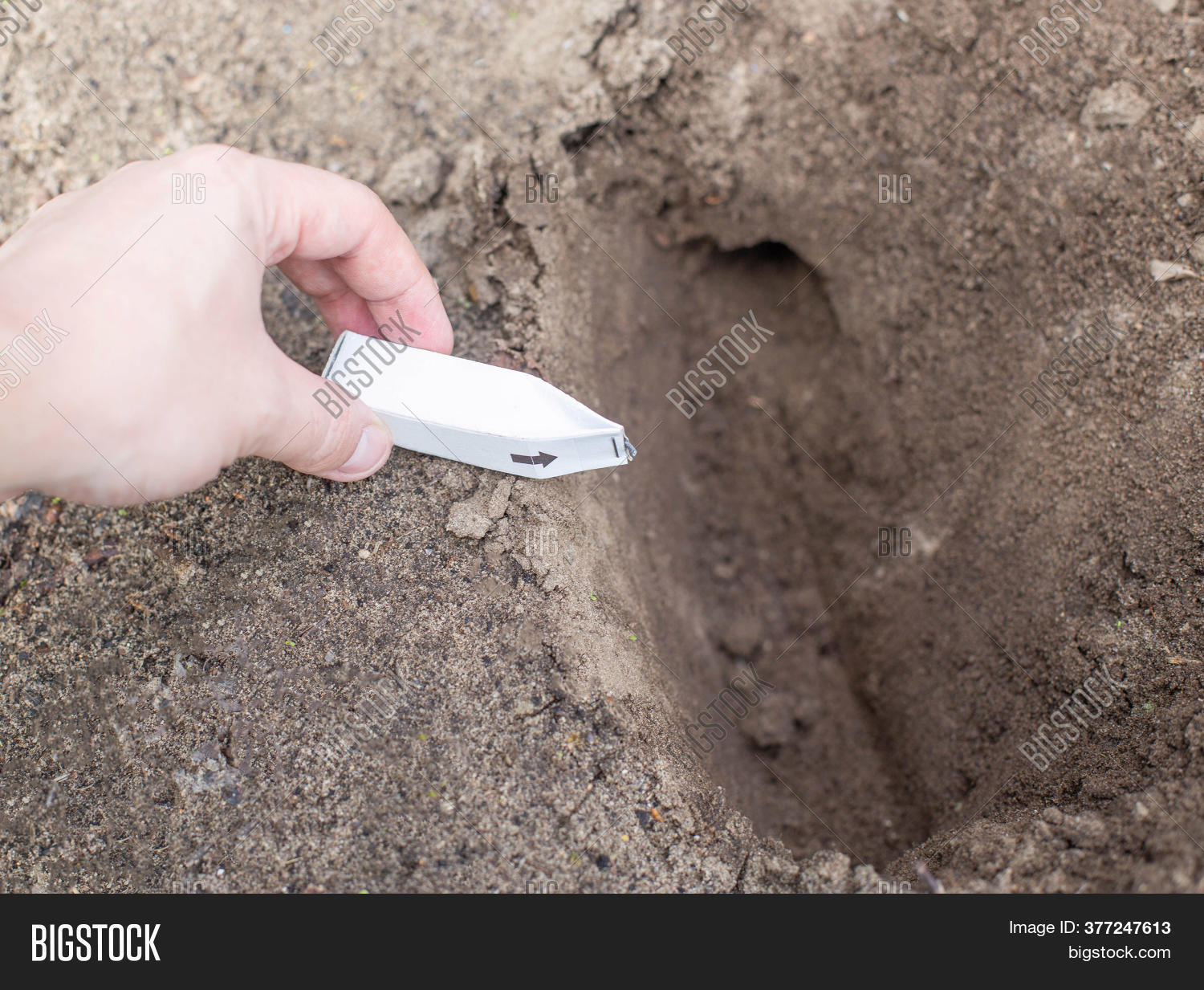 Expelling Smoking Mole Image & Photo (Free Trial) | Bigstock