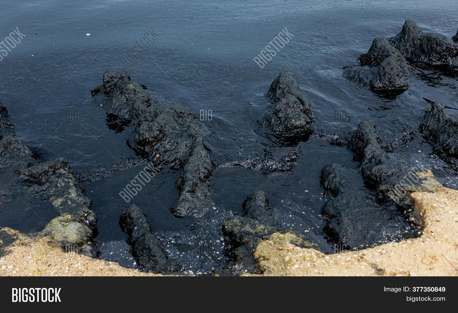 Sea Beach Polluted Oil Image & Photo (Free Trial) | Bigstock