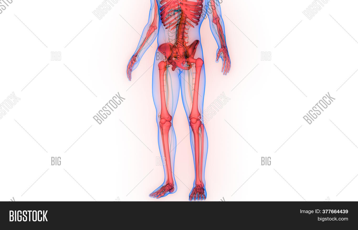 3d Illustration Image & Photo (Free Trial) | Bigstock