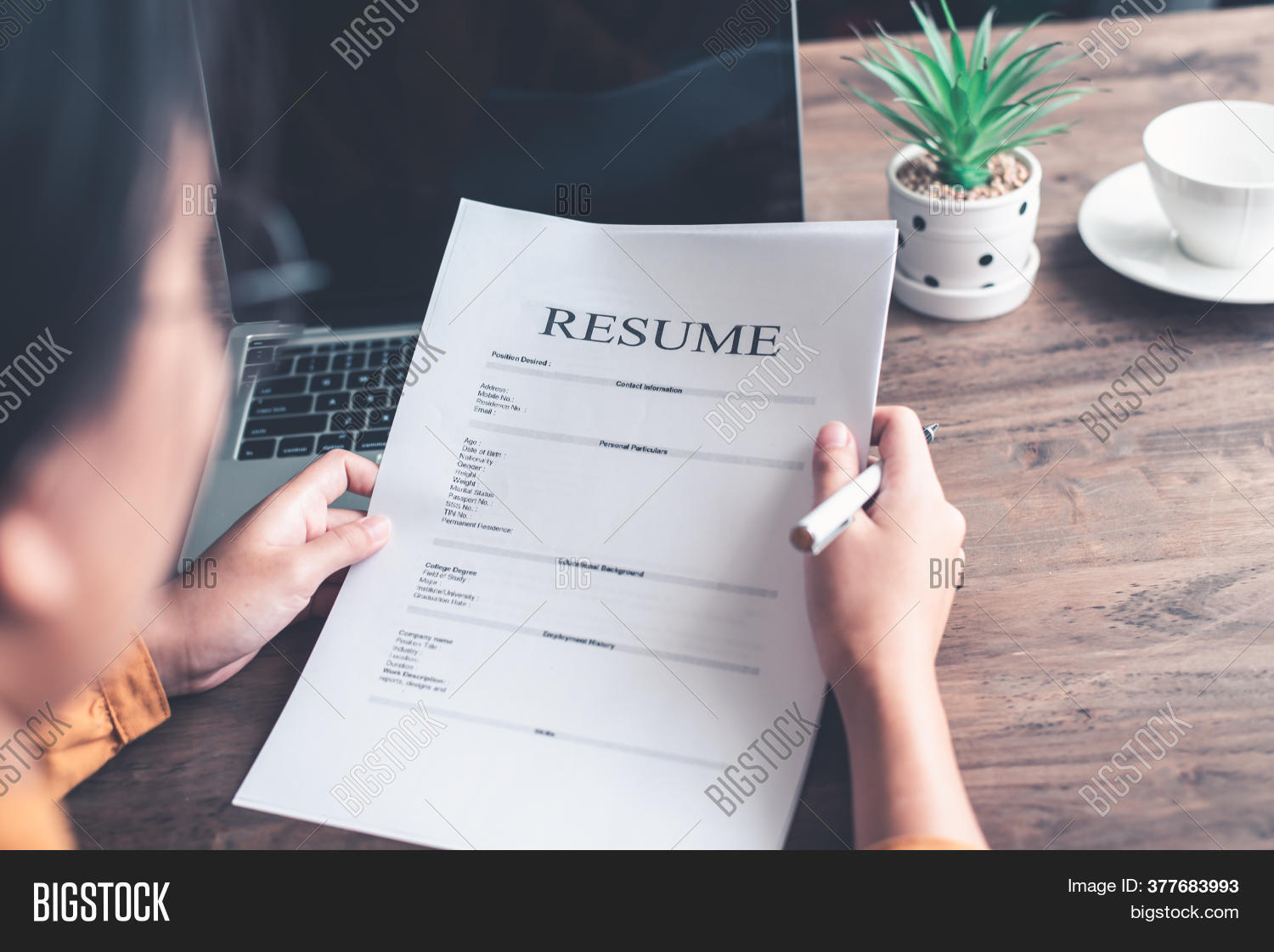 People Reviewing Job Image & Photo (Free Trial) | Bigstock