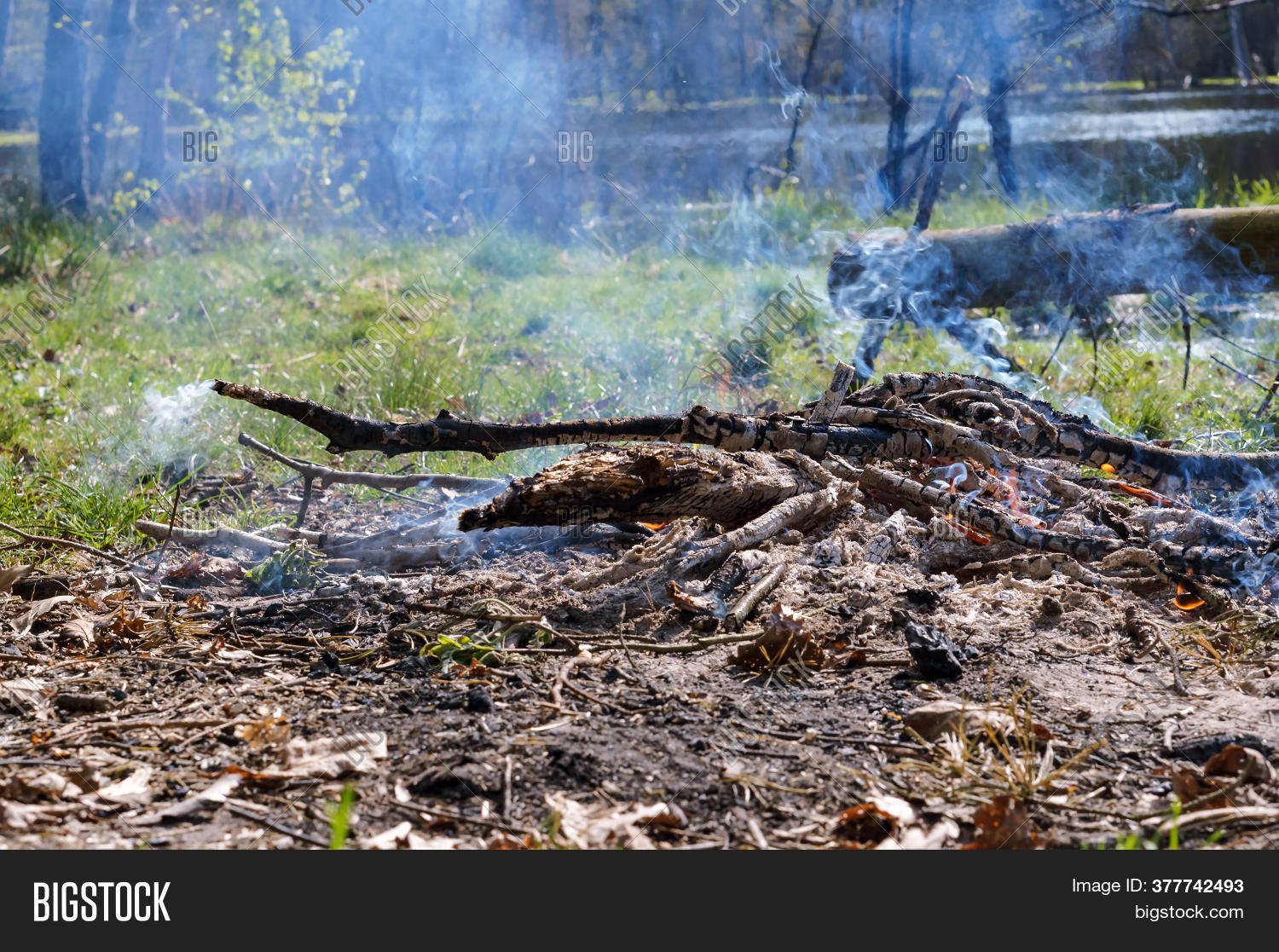 Remains Burnt Wood, Image & Photo (Free Trial) | Bigstock