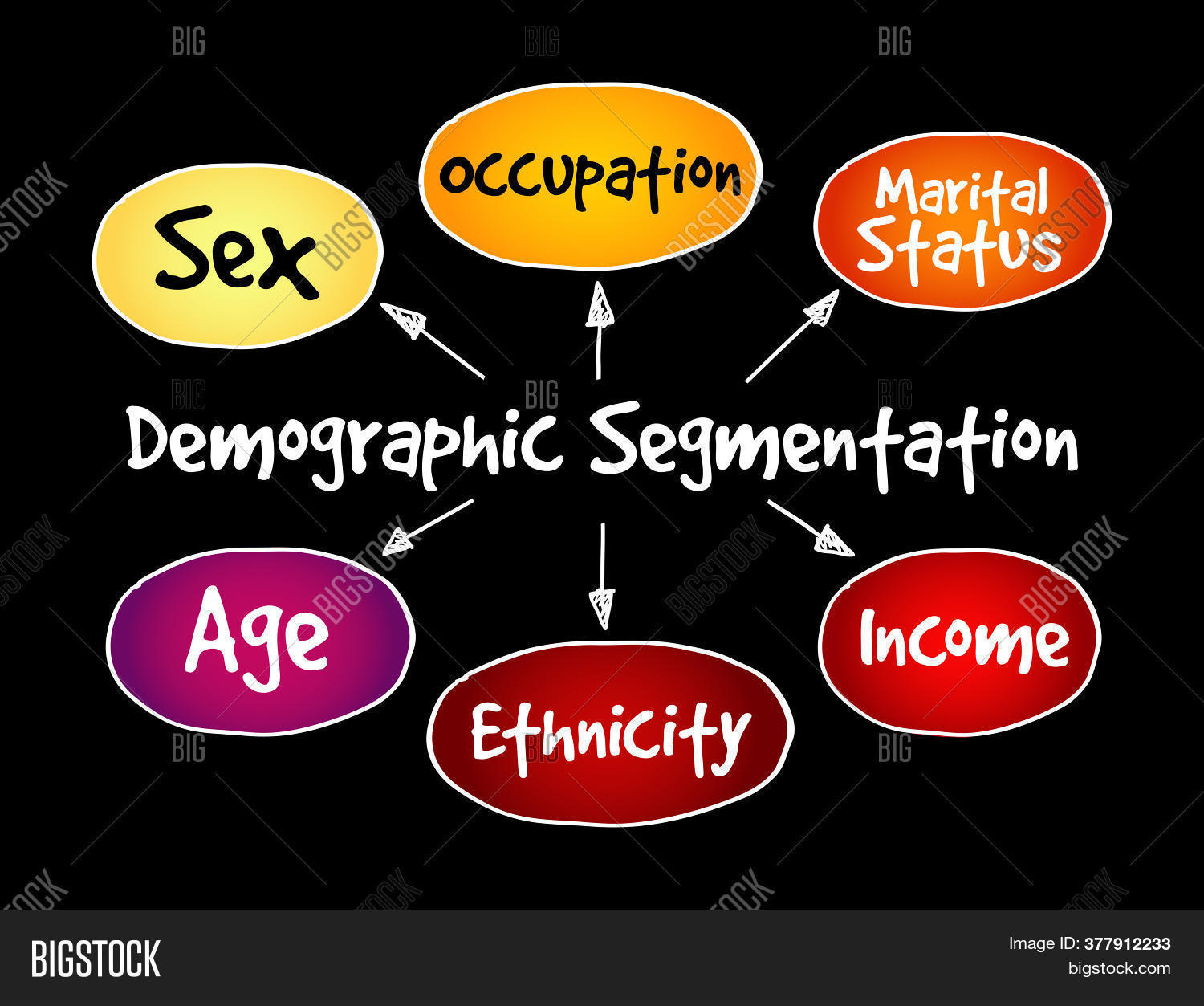 Demographic Image & Photo (Free Trial) | Bigstock