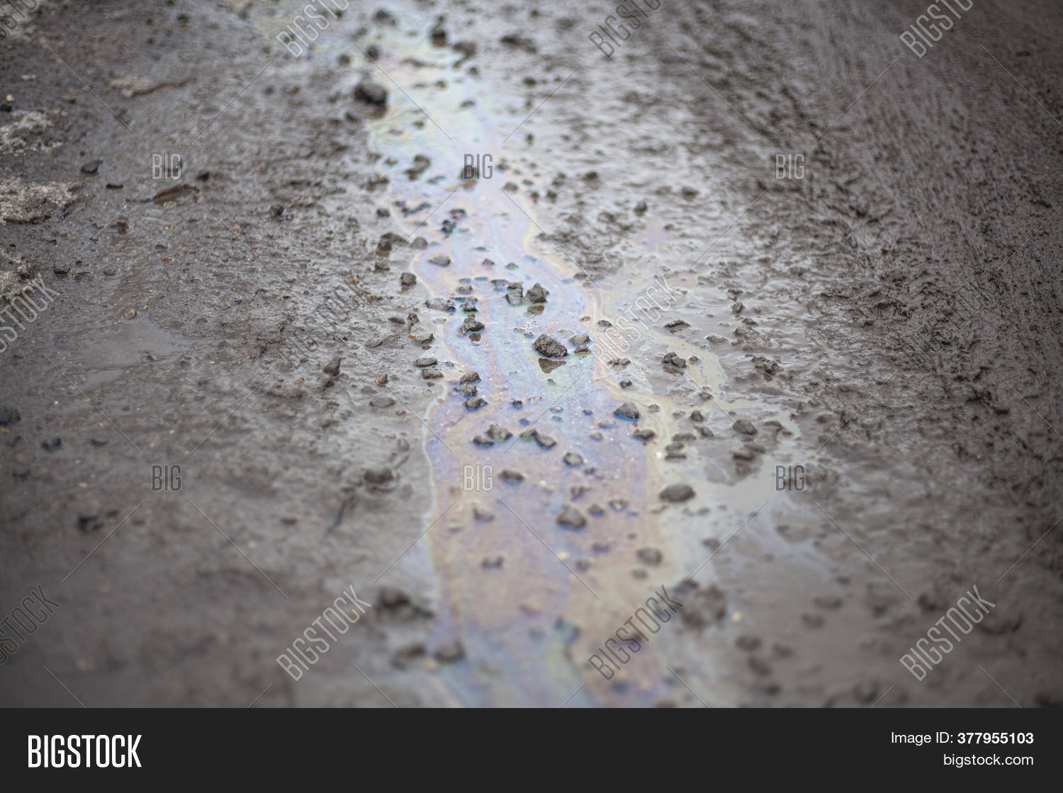 Gasoline Stain On Image & Photo (Free Trial) | Bigstock