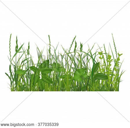 Realistic Detailed 3d Vector & Photo (Free Trial) | Bigstock