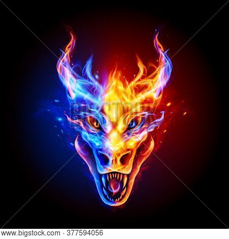 Fire Dragon Head Blue Vector & Photo (Free Trial) | Bigstock