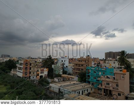 Closeup Bangalore Image & Photo (Free Trial) | Bigstock