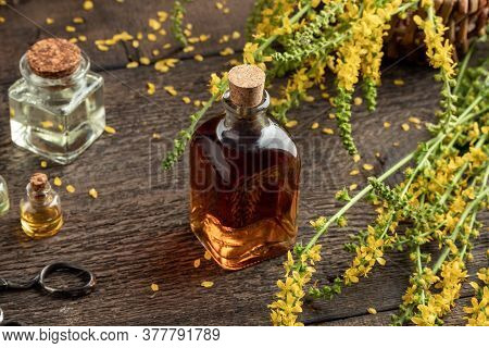 Bottle Essential Oil Image & Photo (Free Trial) | Bigstock