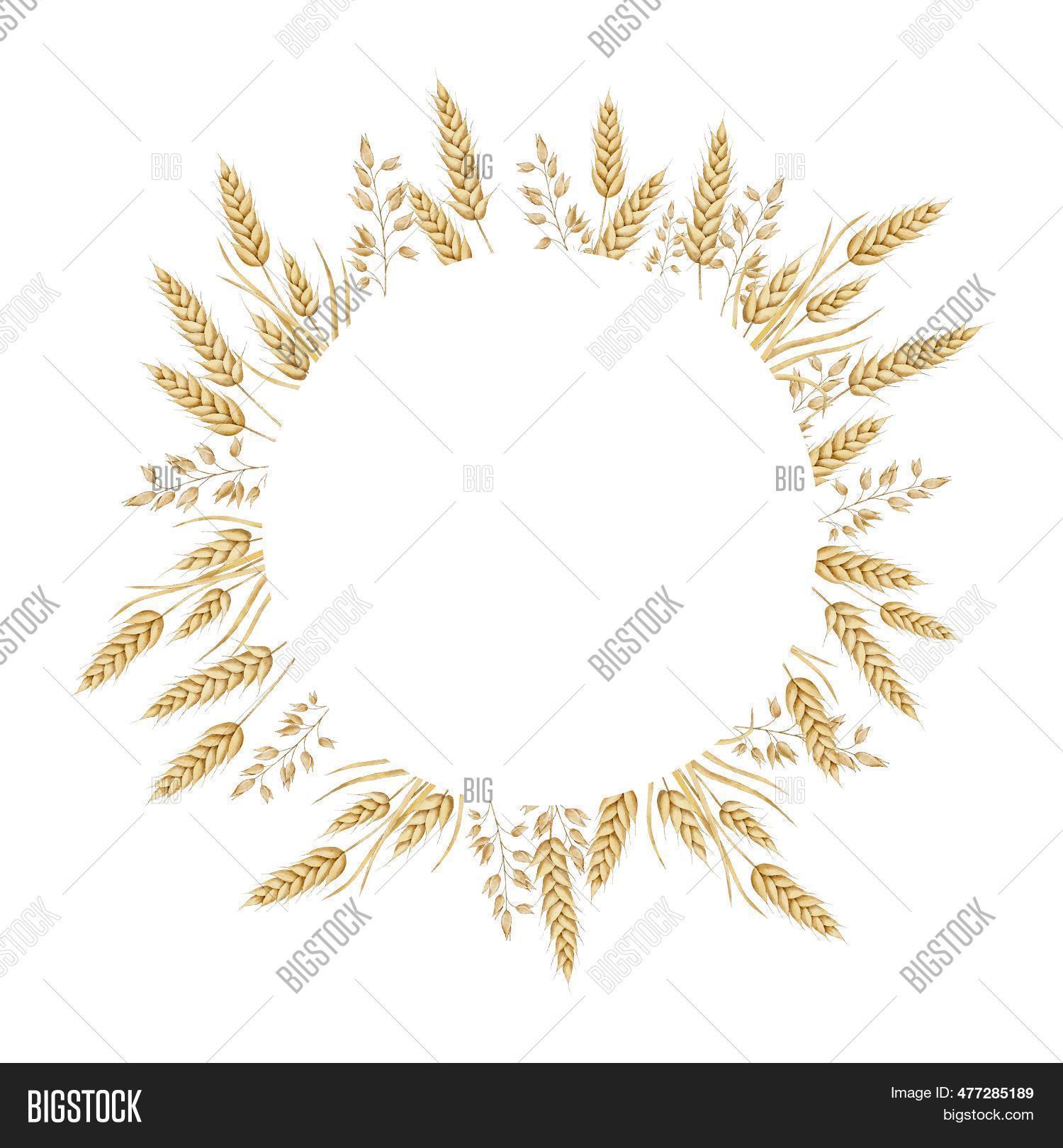 Wheat Gold Frame Border