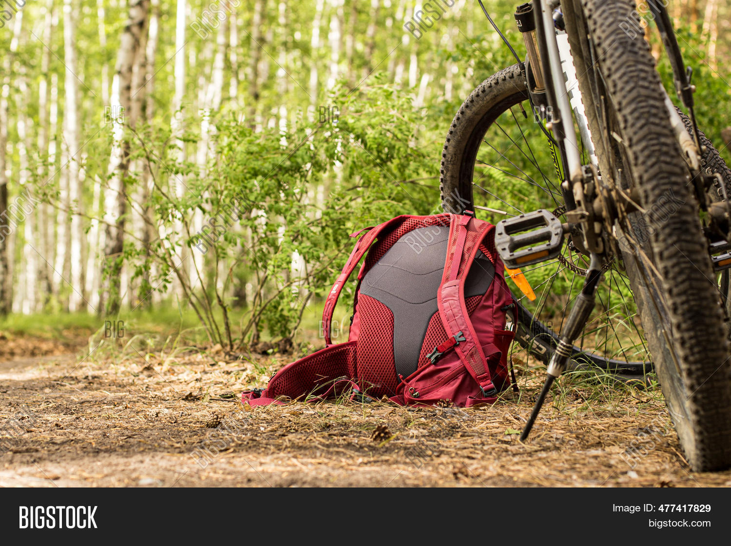Lying Hiking Backpack Image & Photo (Free Trial) | Bigstock