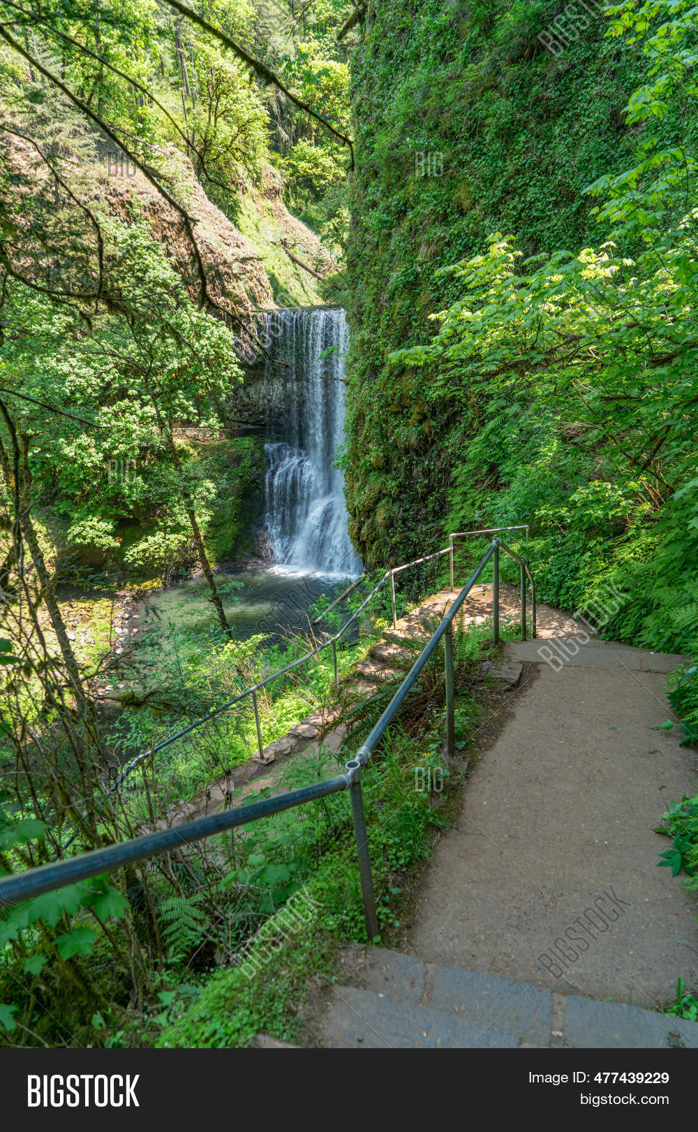 View Stairs Lower Image & Photo (Free Trial) | Bigstock