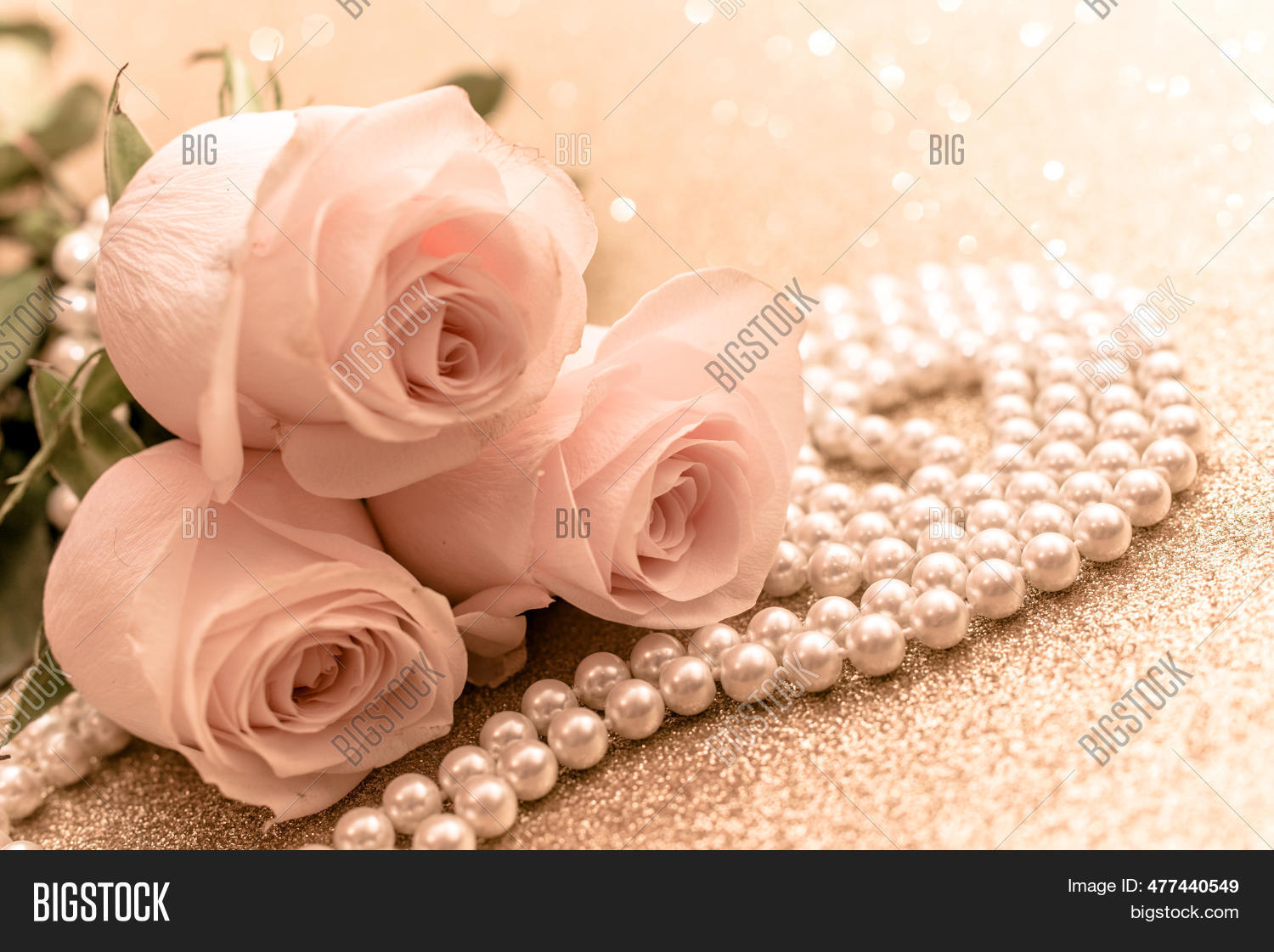 Pink Rose Pearl Image & Photo (Free Trial) | Bigstock