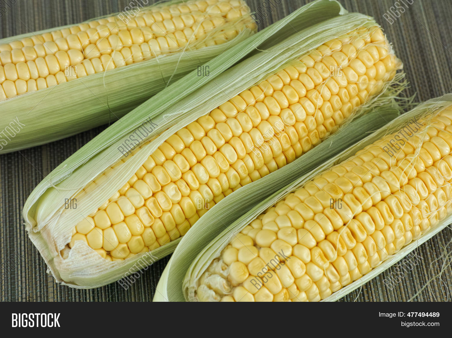 Three Corn Cobs Husk Image & Photo (Free Trial) | Bigstock