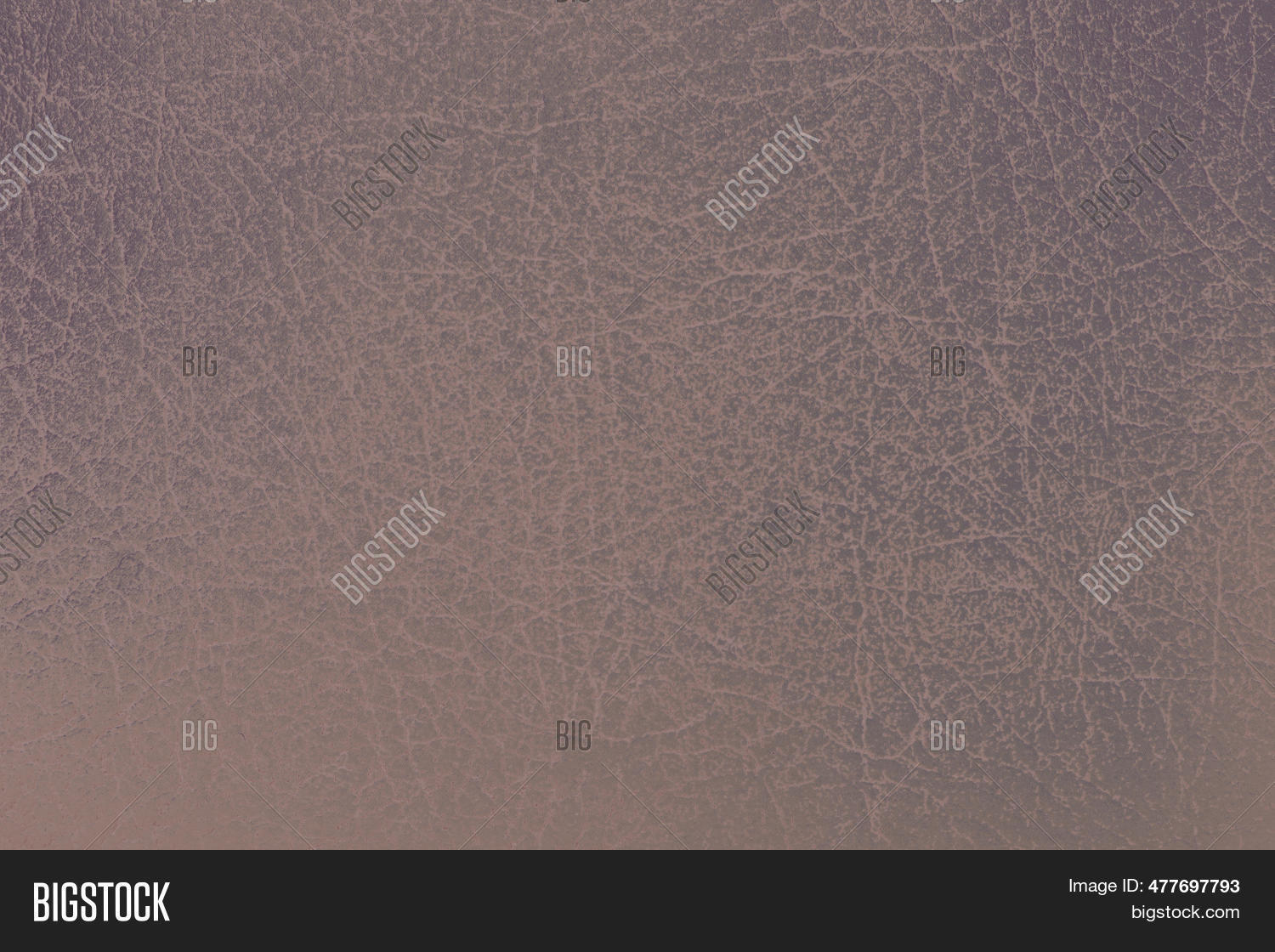 Beautiful Brown Image & Photo (Free Trial) | Bigstock