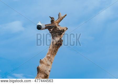 Closed Circuit Camera Image & Photo (Free Trial) | Bigstock
