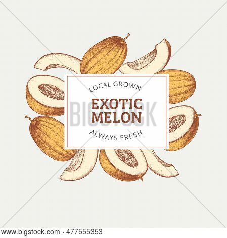 Melon Design Template Vector & Photo (Free Trial) | Bigstock