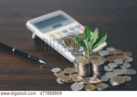 Money Coin Money Tree Image & Photo (Free Trial) | Bigstock