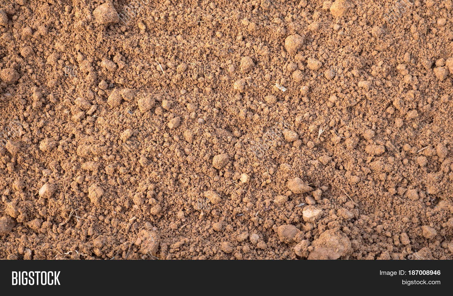 Soil Texture Image & Photo (Free Trial) | Bigstock