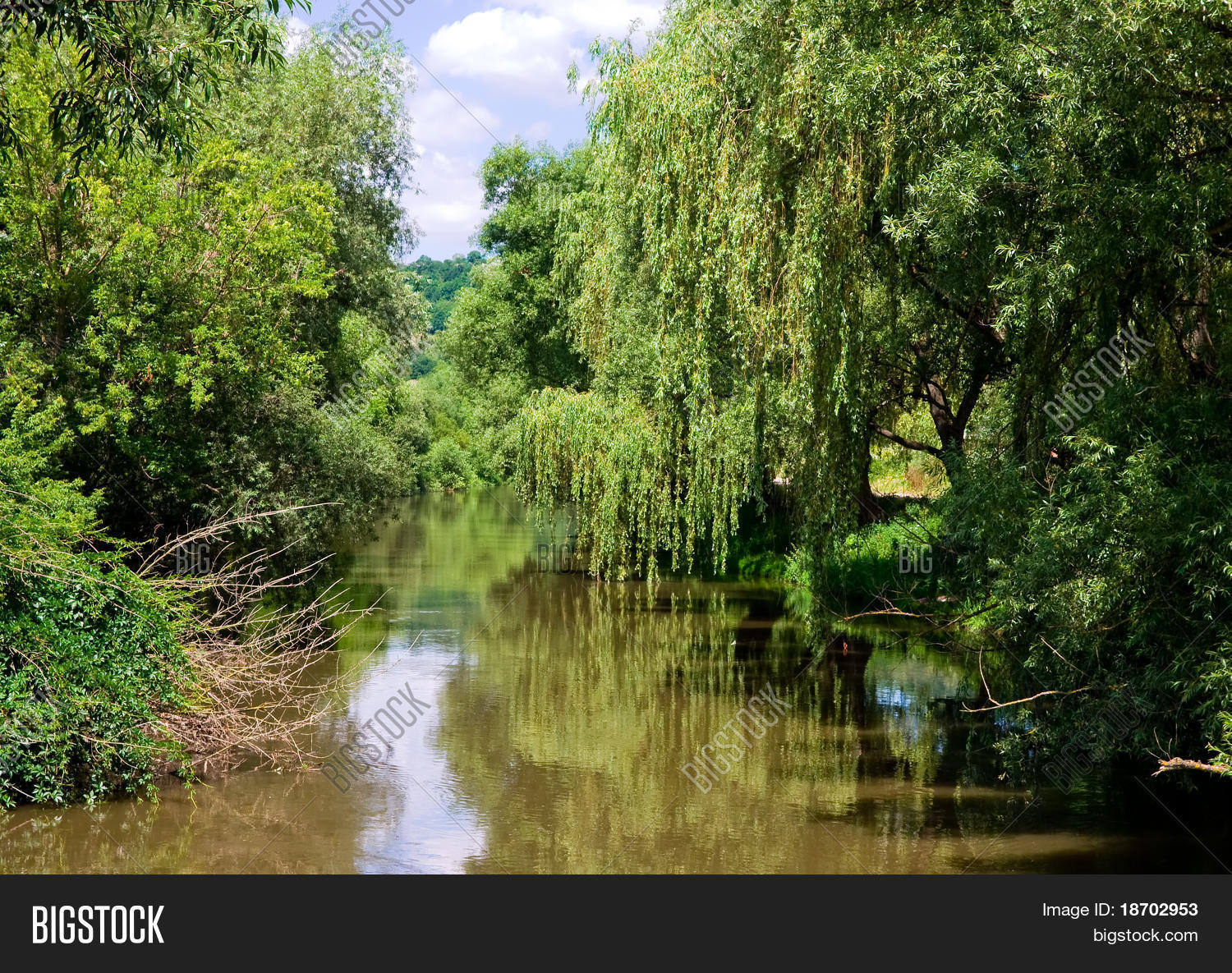 Trees Next River Image & Photo (Free Trial) | Bigstock