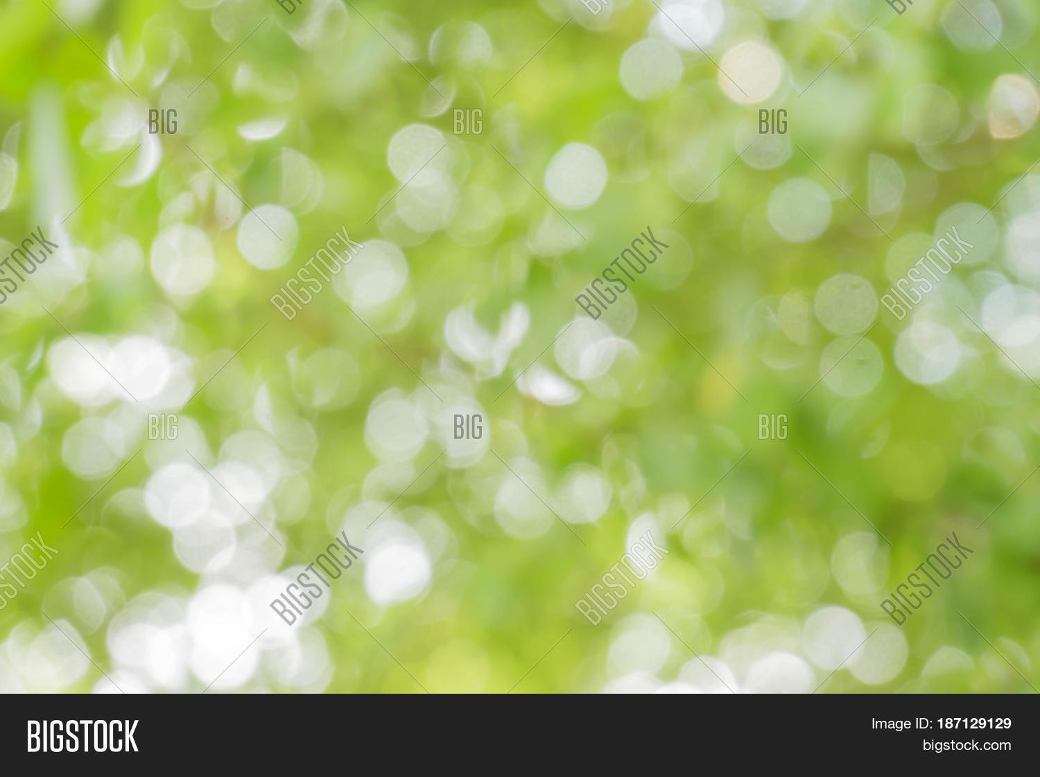 Over Blurred Nature