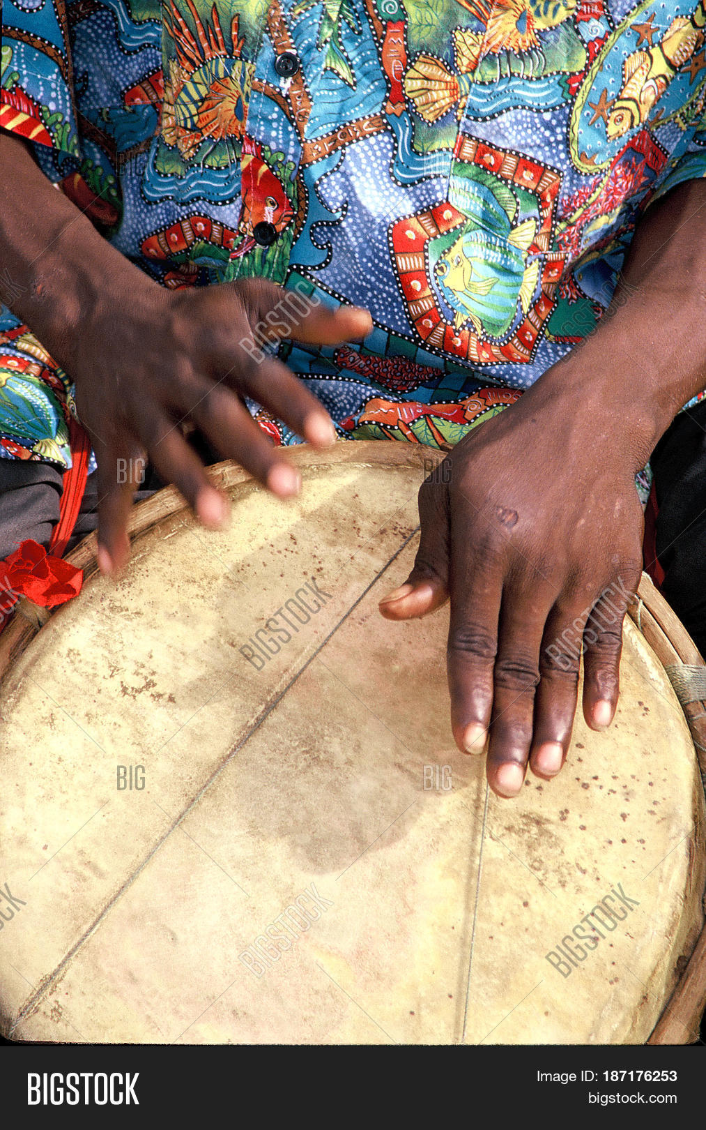 Conga Drummer Image & Photo (Free Trial) | Bigstock