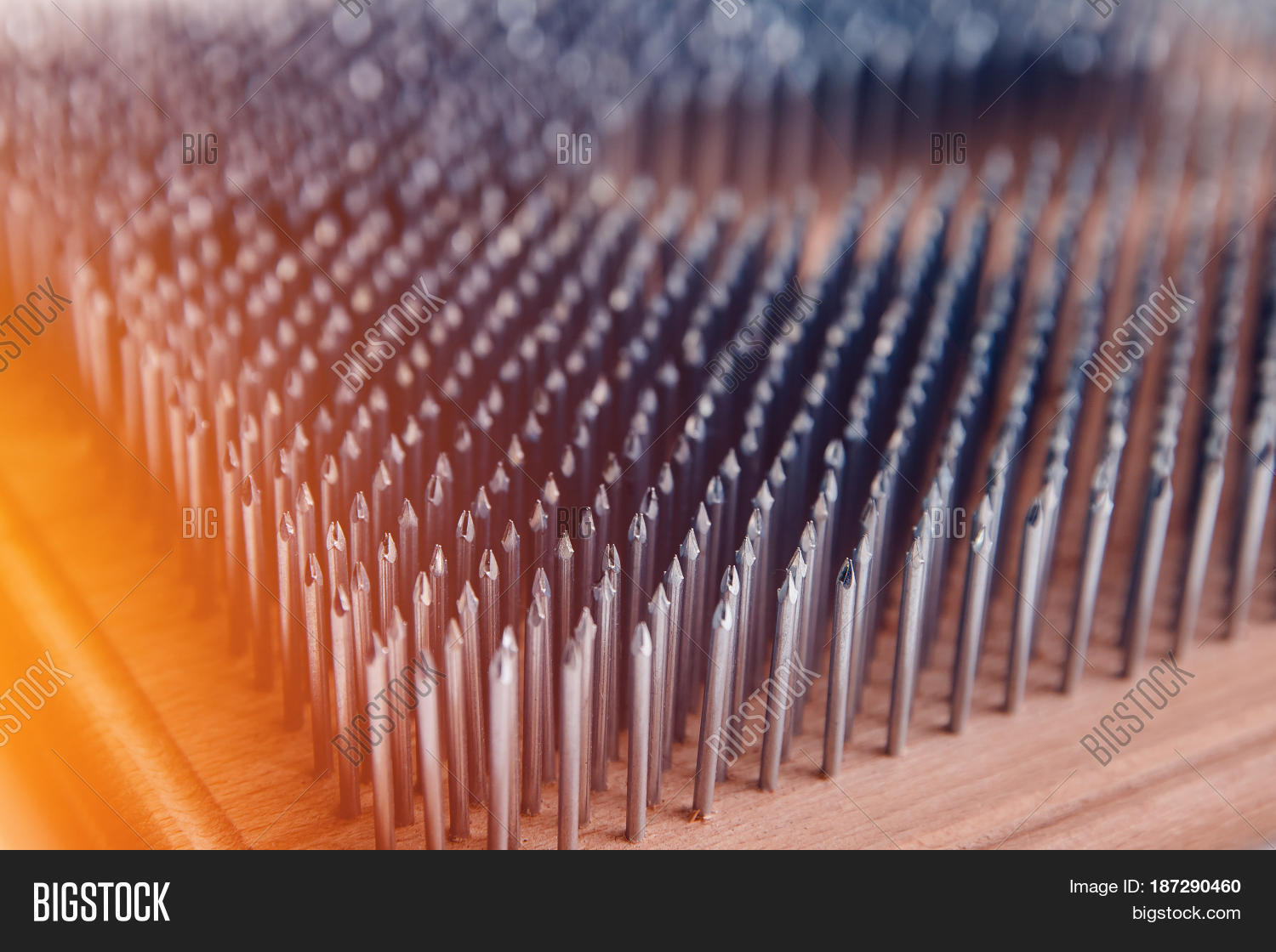 Tree Nails Practicing Image & Photo (Free Trial) | Bigstock