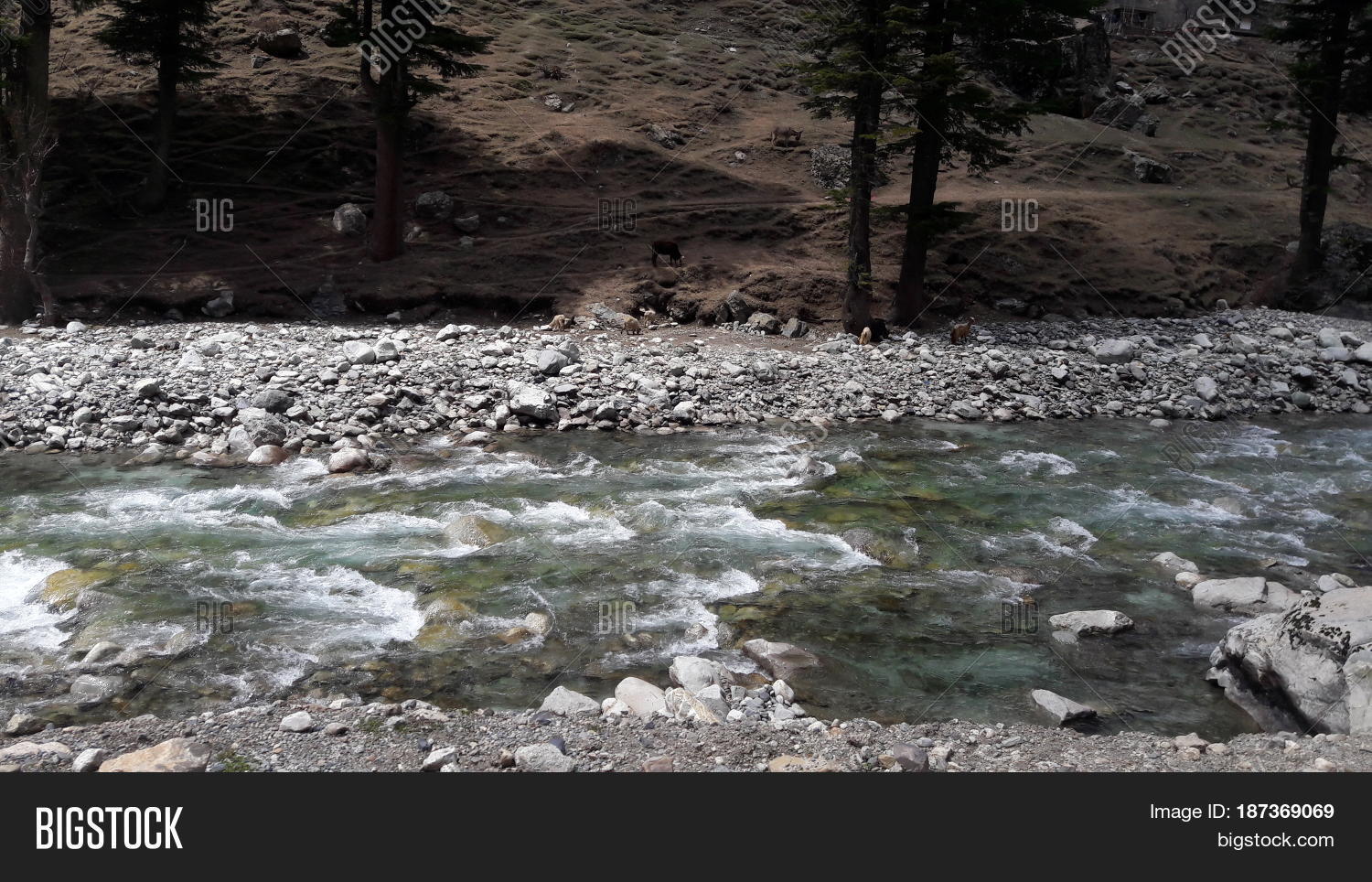 River Fresh Water Image & Photo (Free Trial) | Bigstock