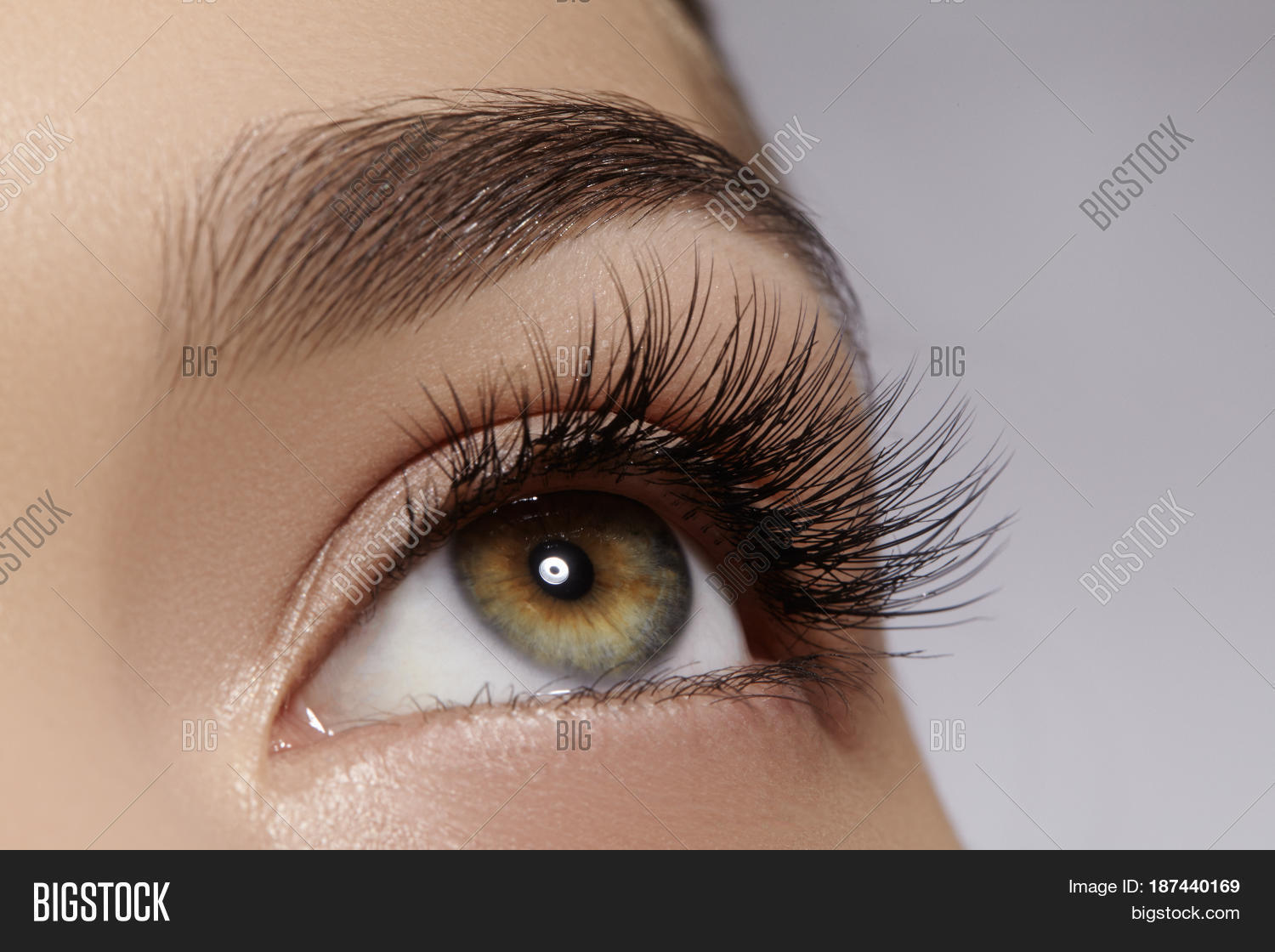 Beautiful Macro Shot Image & Photo (Free Trial) | Bigstock