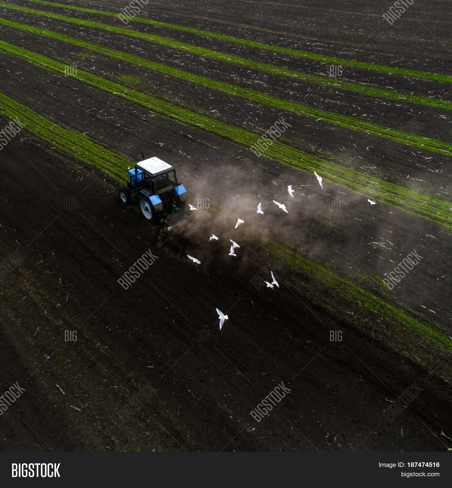 Blue Tractor Plows Image & Photo (Free Trial) | Bigstock