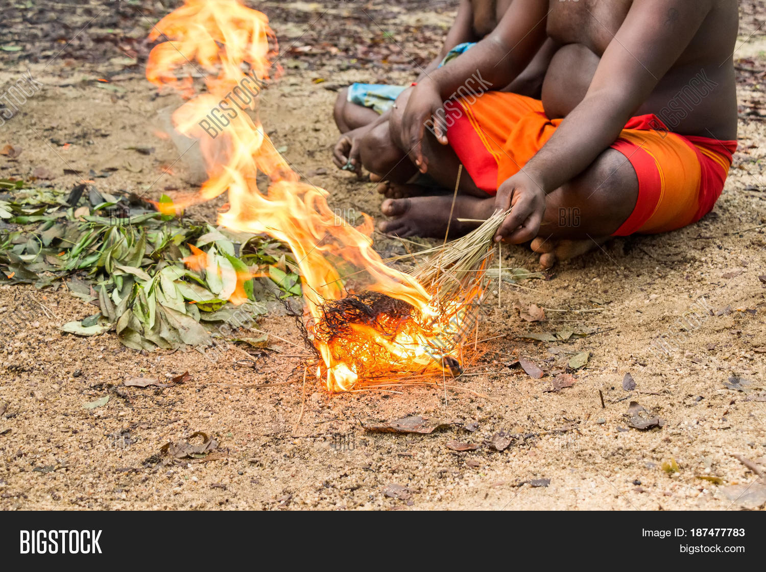DABANA, SRI LANKA - Image & Photo (Free Trial) | Bigstock