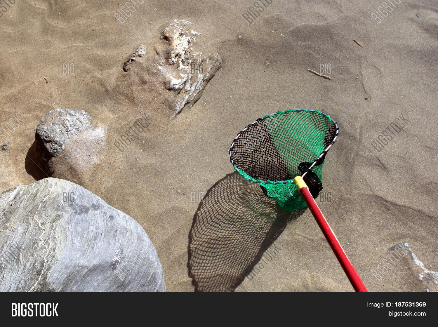 Child's Fishing Net Image & Photo (Free Trial) | Bigstock