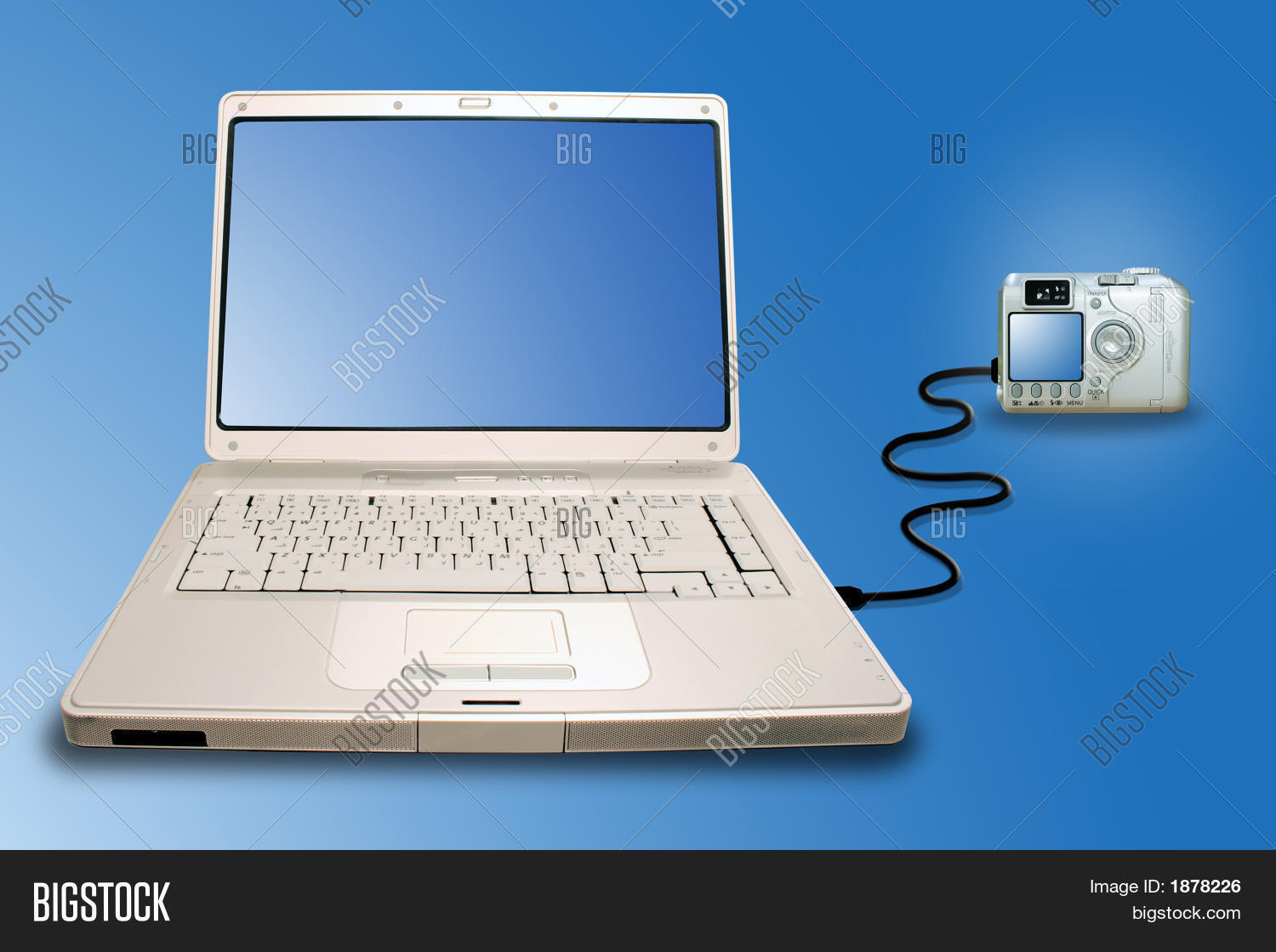 Photo Transfer Digital Image & Photo (Free Trial) | Bigstock