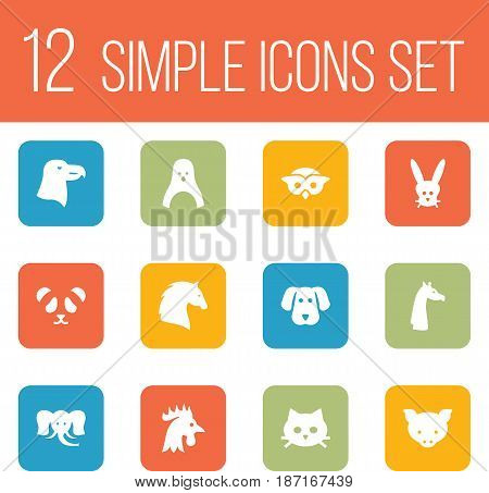 Set 12 Alive Icons Vector & Photo (Free Trial) | Bigstock