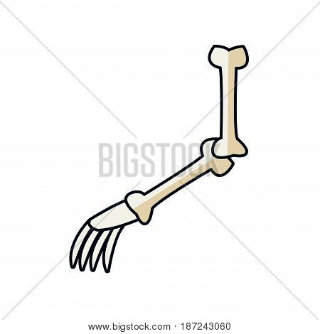 Cartoon Arm Bone Part Vector & Photo (Free Trial) | Bigstock
